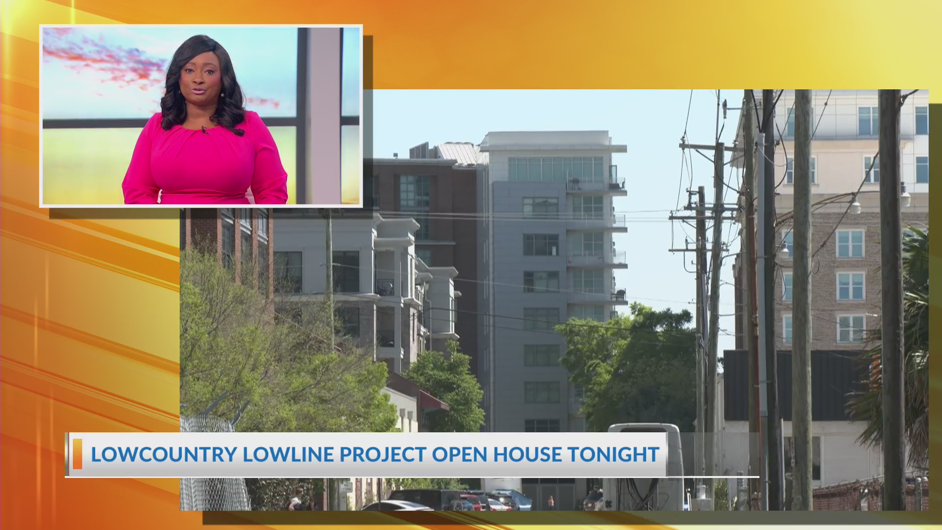 Charleston to hold open house on Lowcountry Lowline Project – WCBD News 2