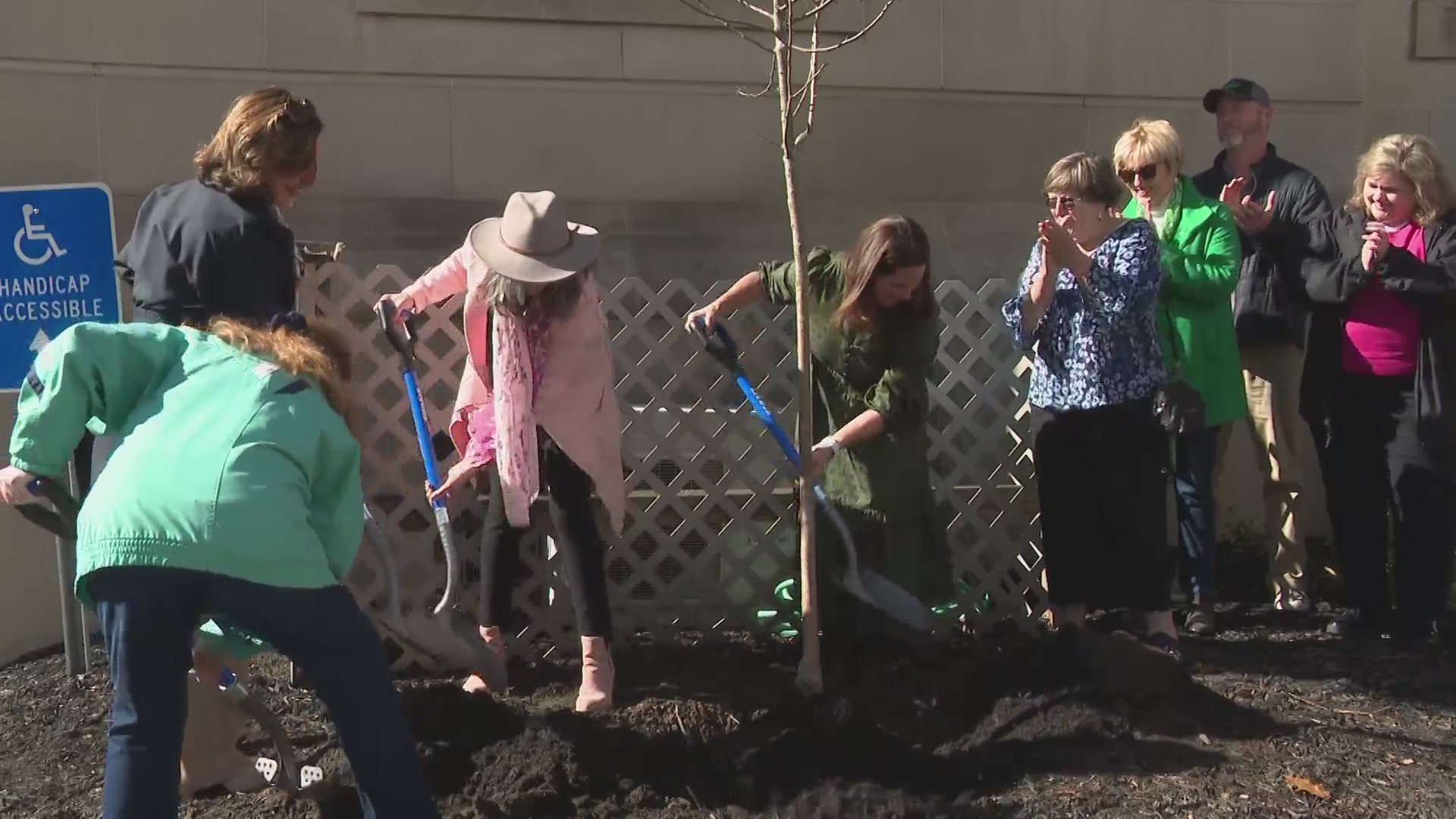 ‘Appalachian Spring’ tree-planting project kicks off in Charleston ...
