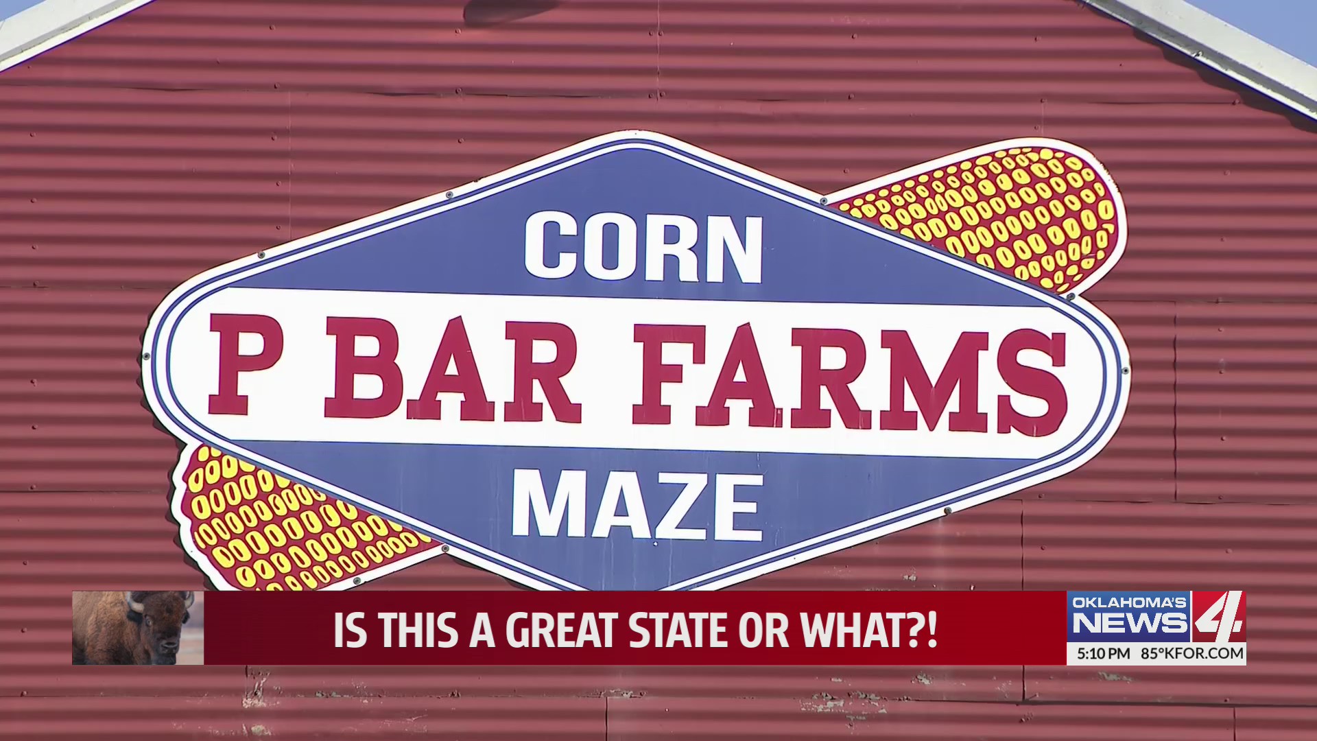 P Bar Farms corn maze operators call it quits after 25 years of bumper ...