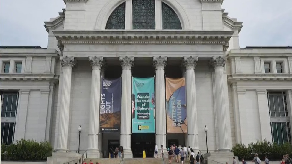 Trump’s museum review ‘kind of creepy’: Colby Hall | NewsNation Now ...