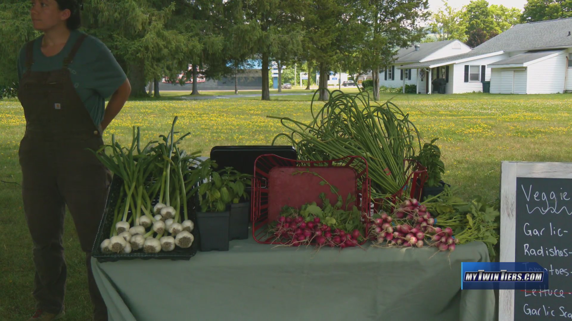 Veggie Van program expands to deliver healthy food rurally – WETM ...