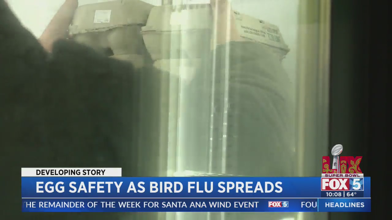 Safety questions emerge as bird flu spreads across the nation – FOX 5 ...