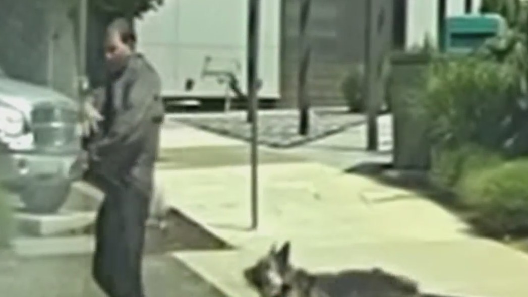 Authorities release footage of police shooting man after report of gun ...