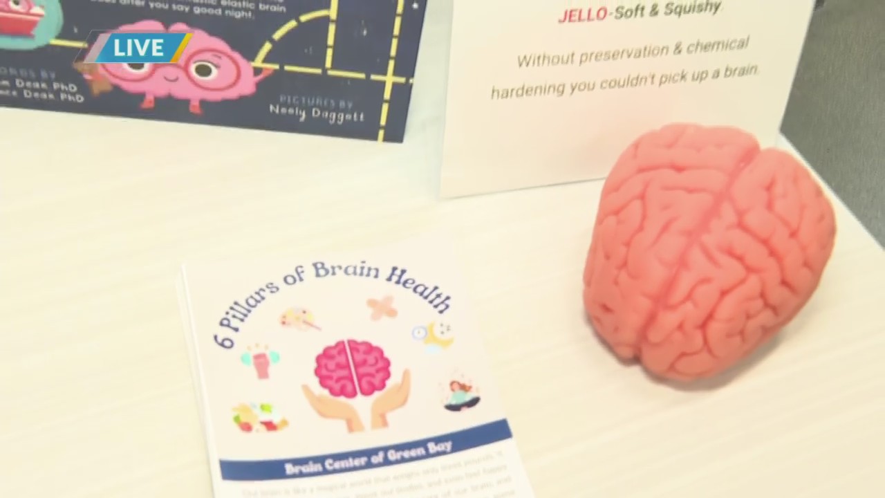 Brain Awareness Event 3-10-25 Part 2 – WFRV Local 5 – Green Bay, Appleton
