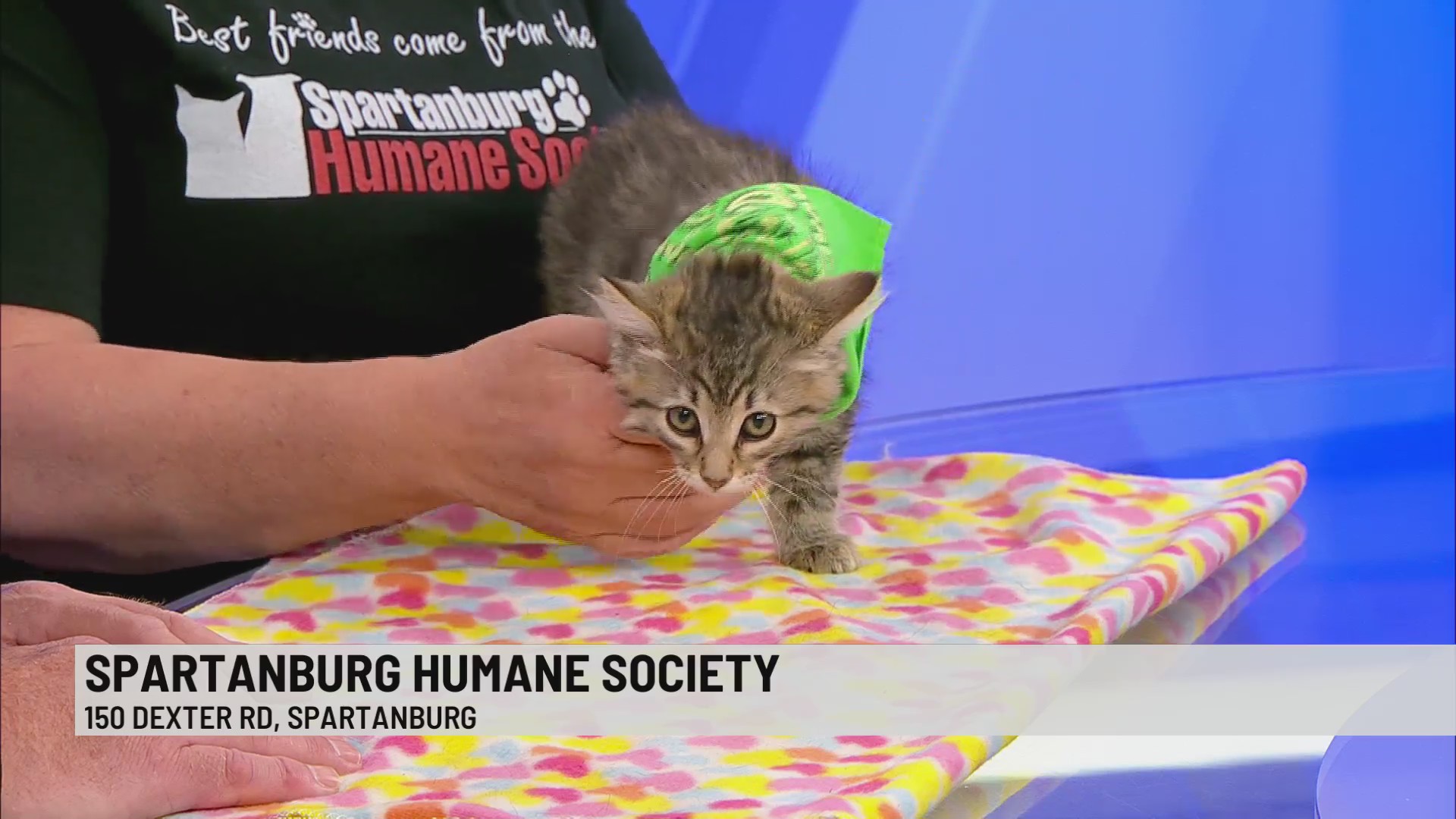 Pet of the Week: Nuget – WSPA 7NEWS