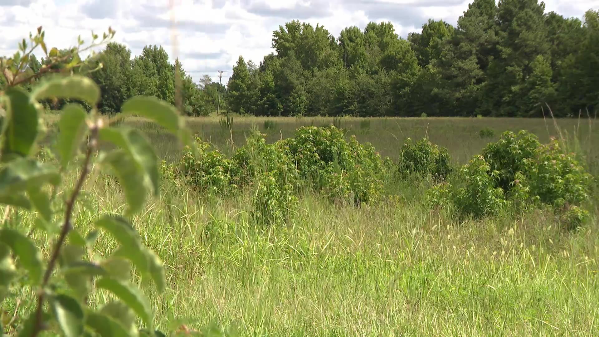 Waynesboro to be long-term home for Ritz USA’s high voltage ...