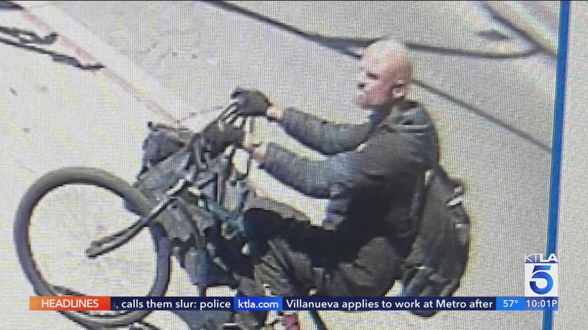 Suspected L.A. tree vandal arrested – KTLA