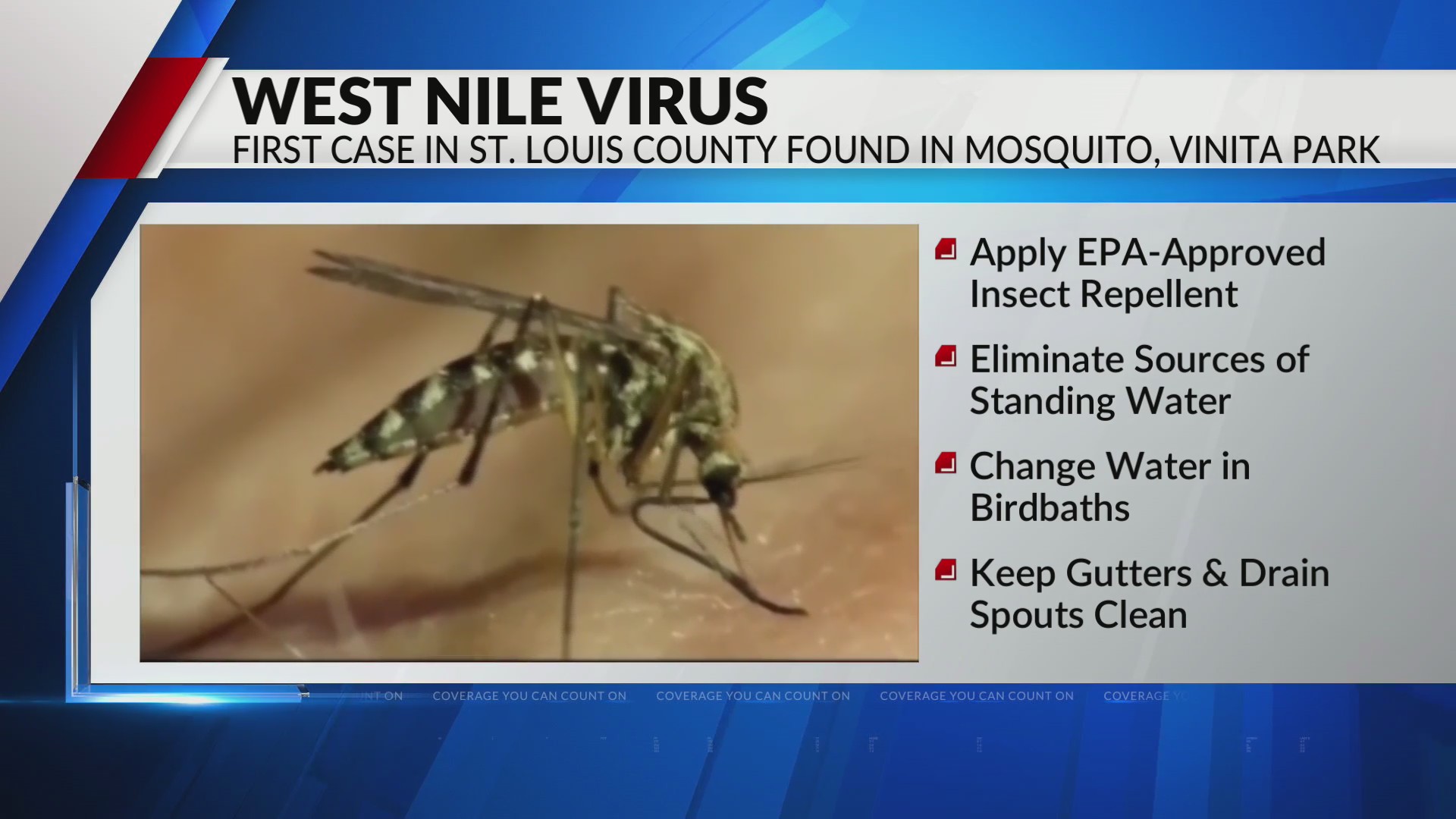 Officials warn of the West Nile virus in St. Louis County mosquitoes ...