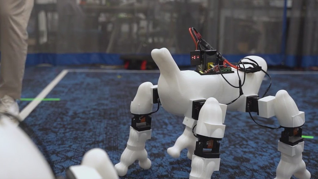 Duke University researchers say you might be able to get 3D-printed ...