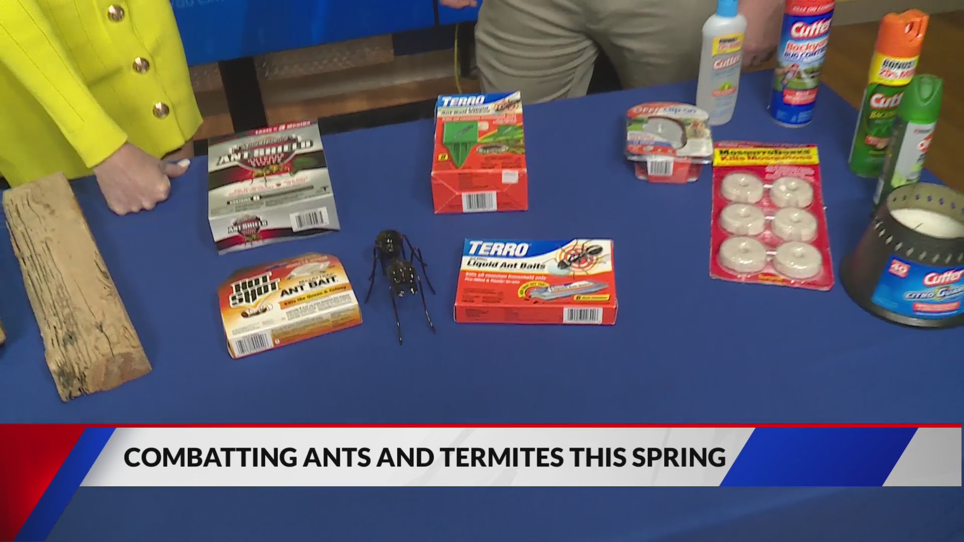 Combating Ants and Termites this Spring – FOX 2