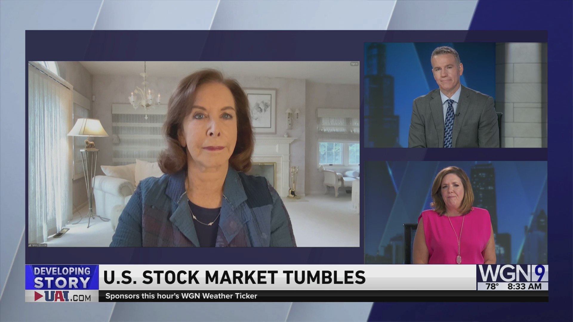 Financial Expert Terry Savage Talks about the Stock Market Tumble – WGN-TV