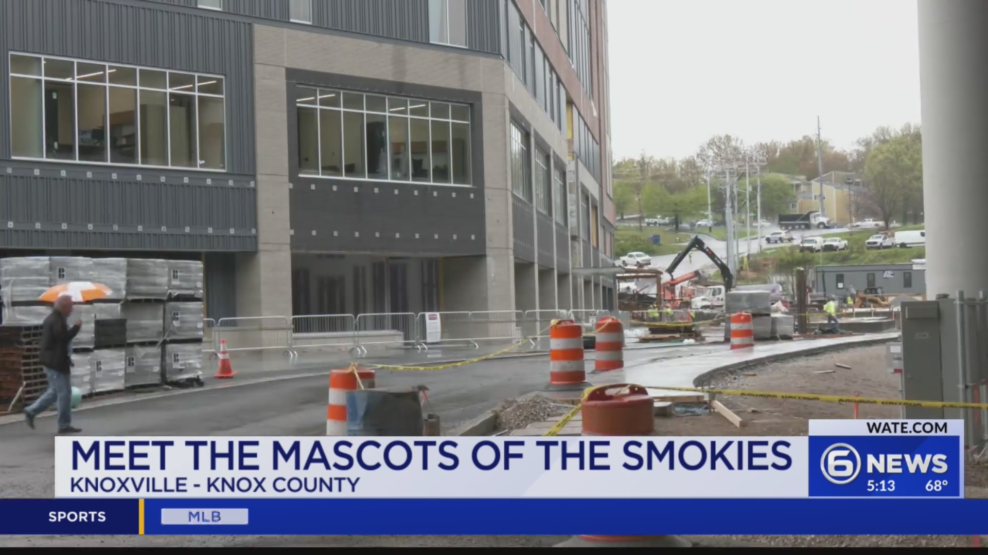 Meet the Knoxville Smokies new Mascots – WATE 6 On Your Side