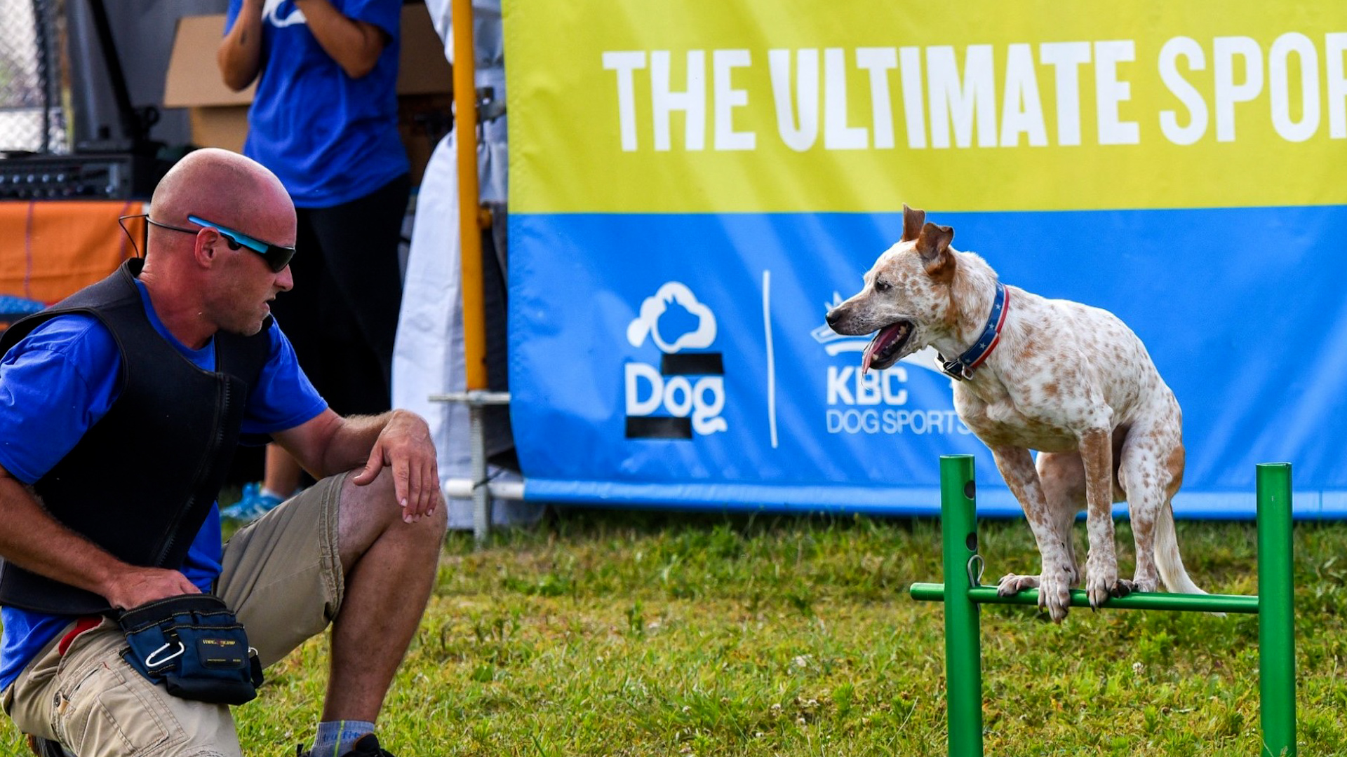 Catching up with the Razorback Stadium Frisbee Dogs’ owner Jonathan ...