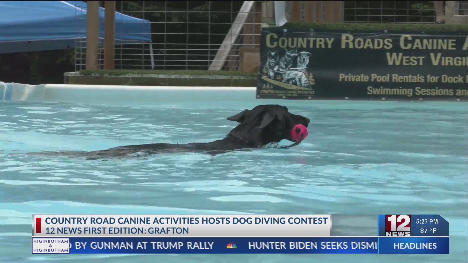 Dogs dive off docks in Grafton competition – WBOY.com