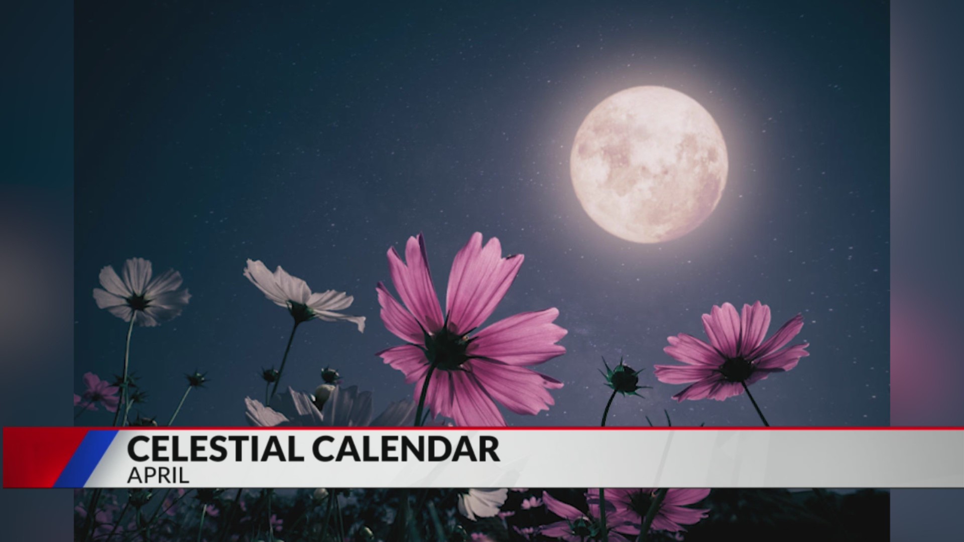Four celestial events in April – FOX31 Denver