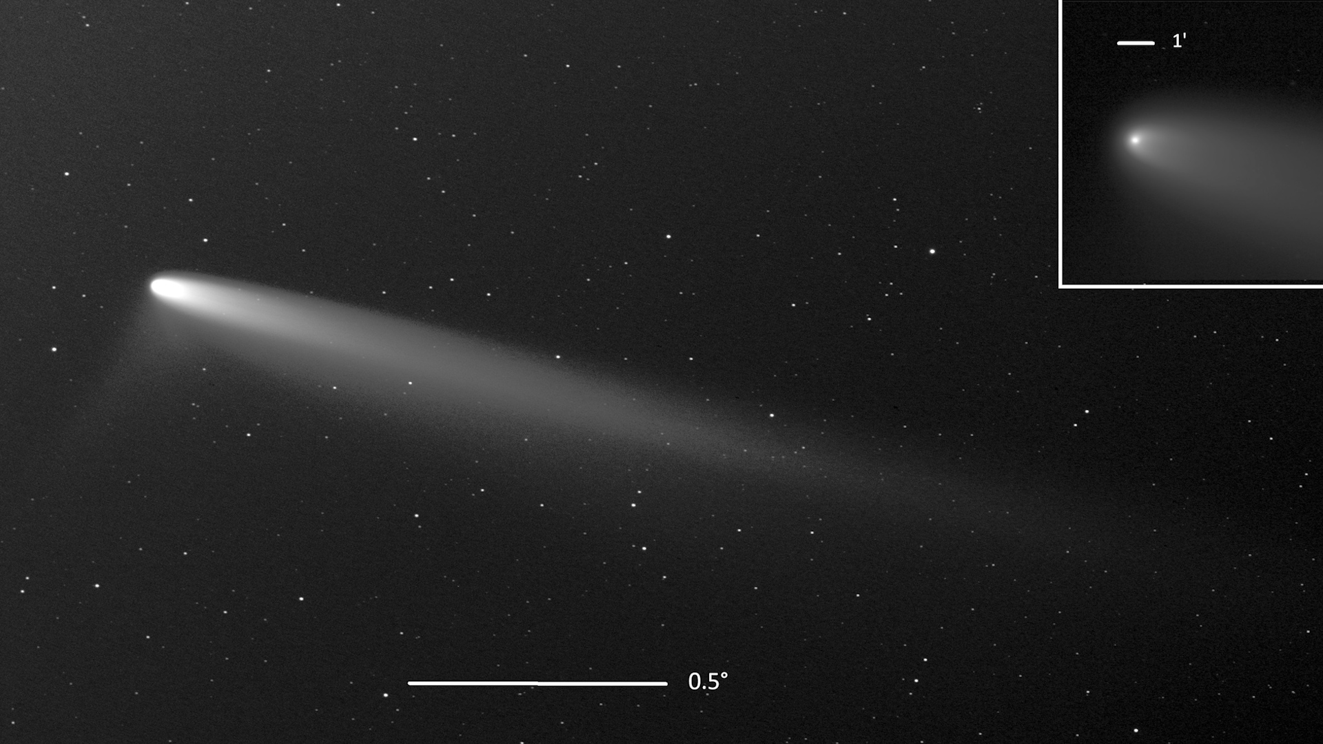 Rare comet visible in the night sky won’t return for 80,000 years – The Hill