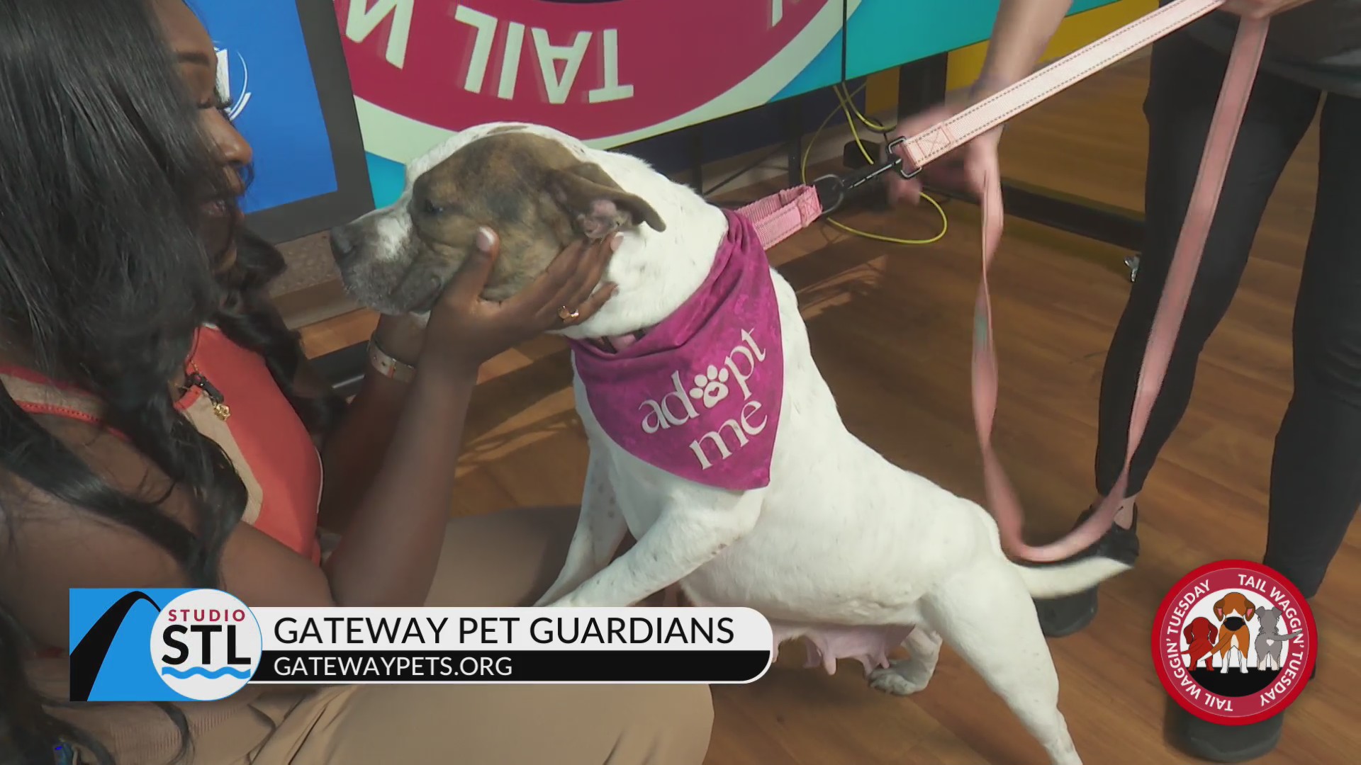 Tail Waggin’ Tuesday: Adopt these adorable furry friends! – FOX 2