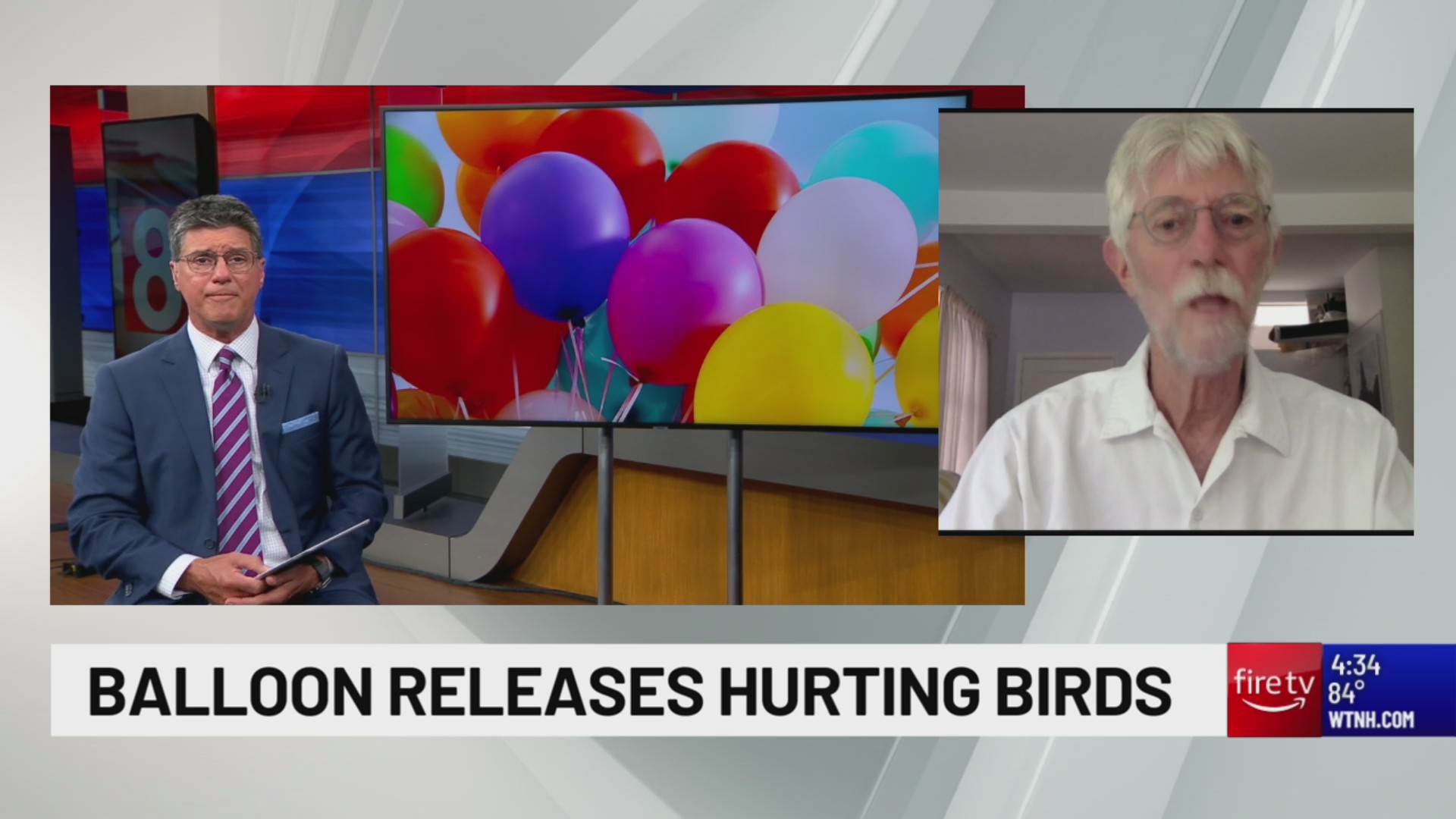 Impacts of balloon releases on Connecticut bird populations – WTNH.com