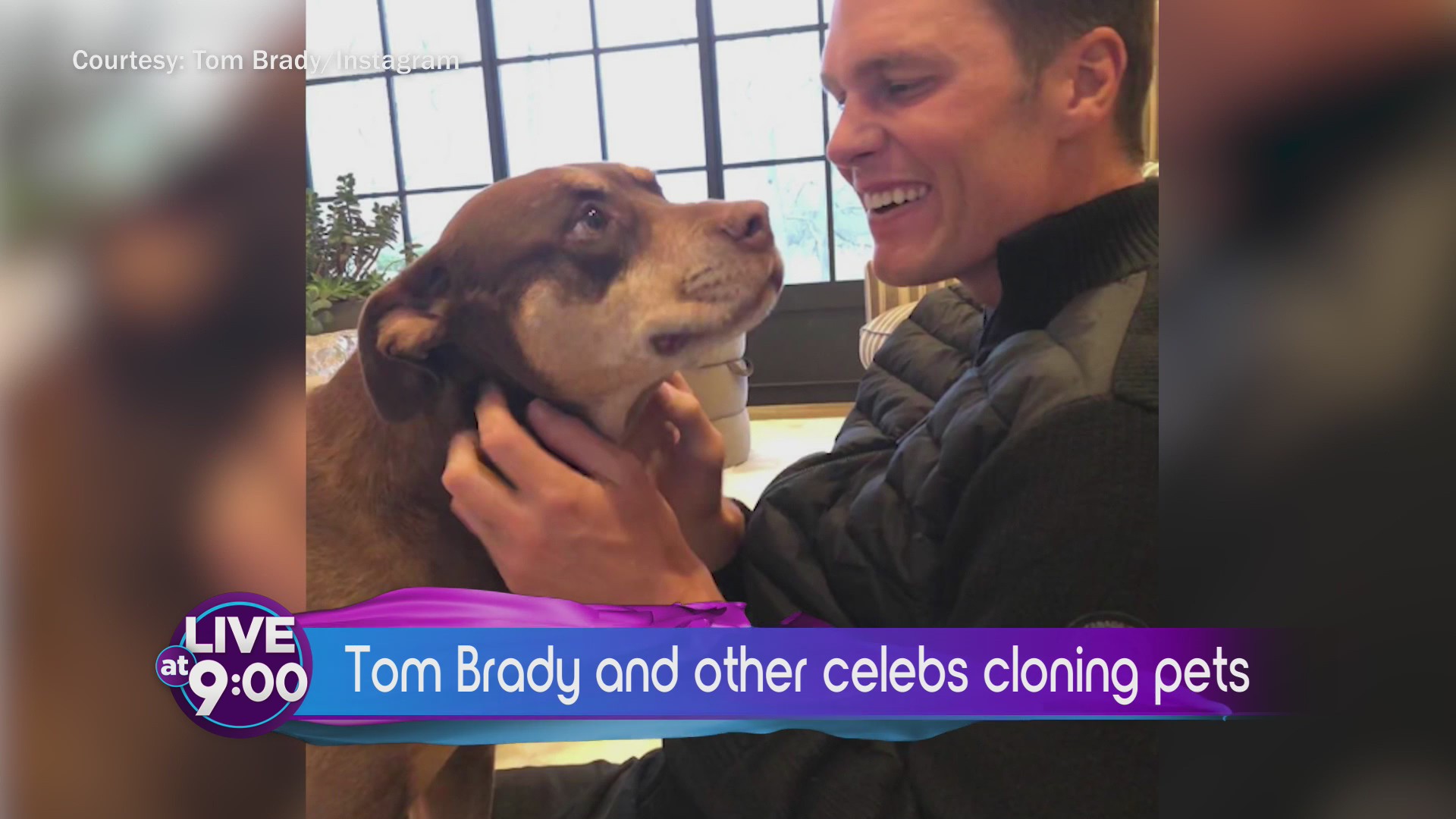 Coffee With Corie Cloning Pets, Starbucks Holiday Buzz and New Google ...
