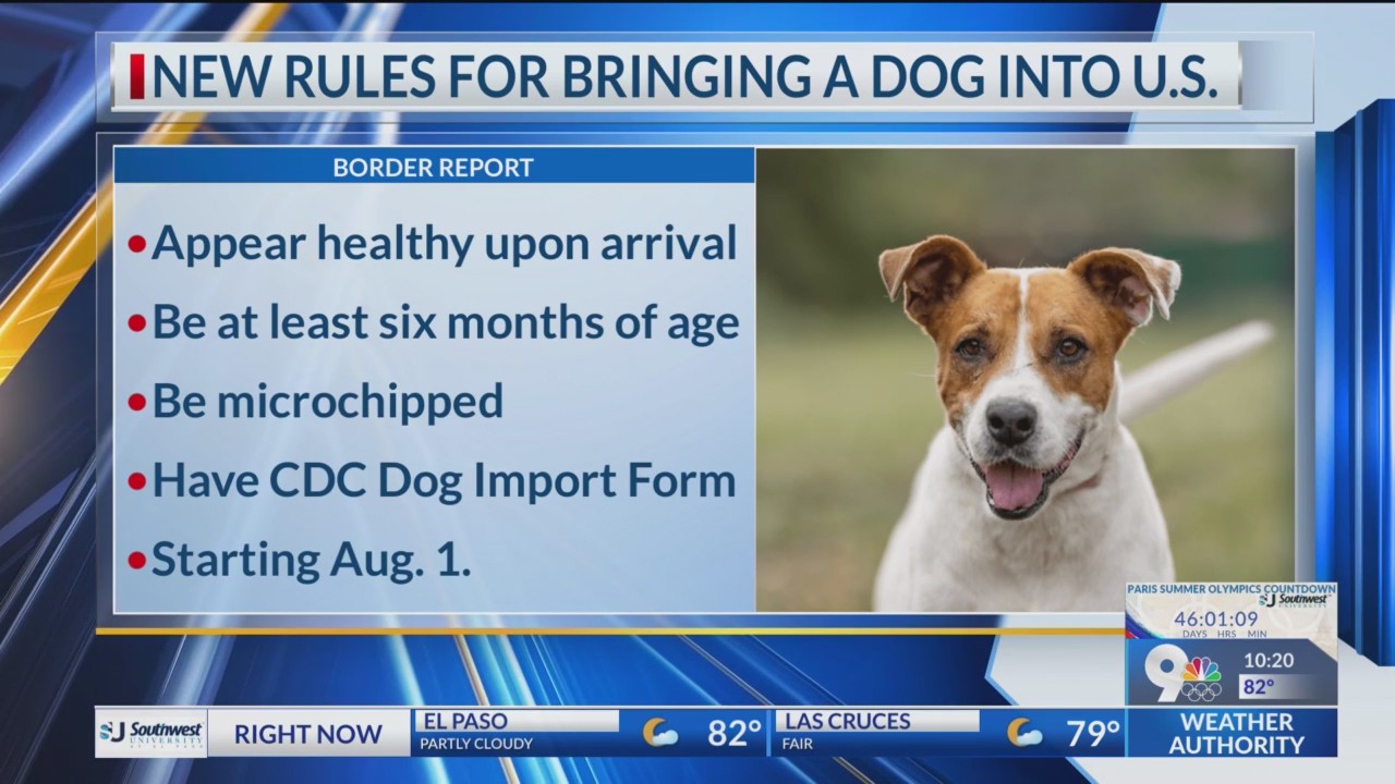 CDC updates rules for dog crossings into the U.S. – BorderReport