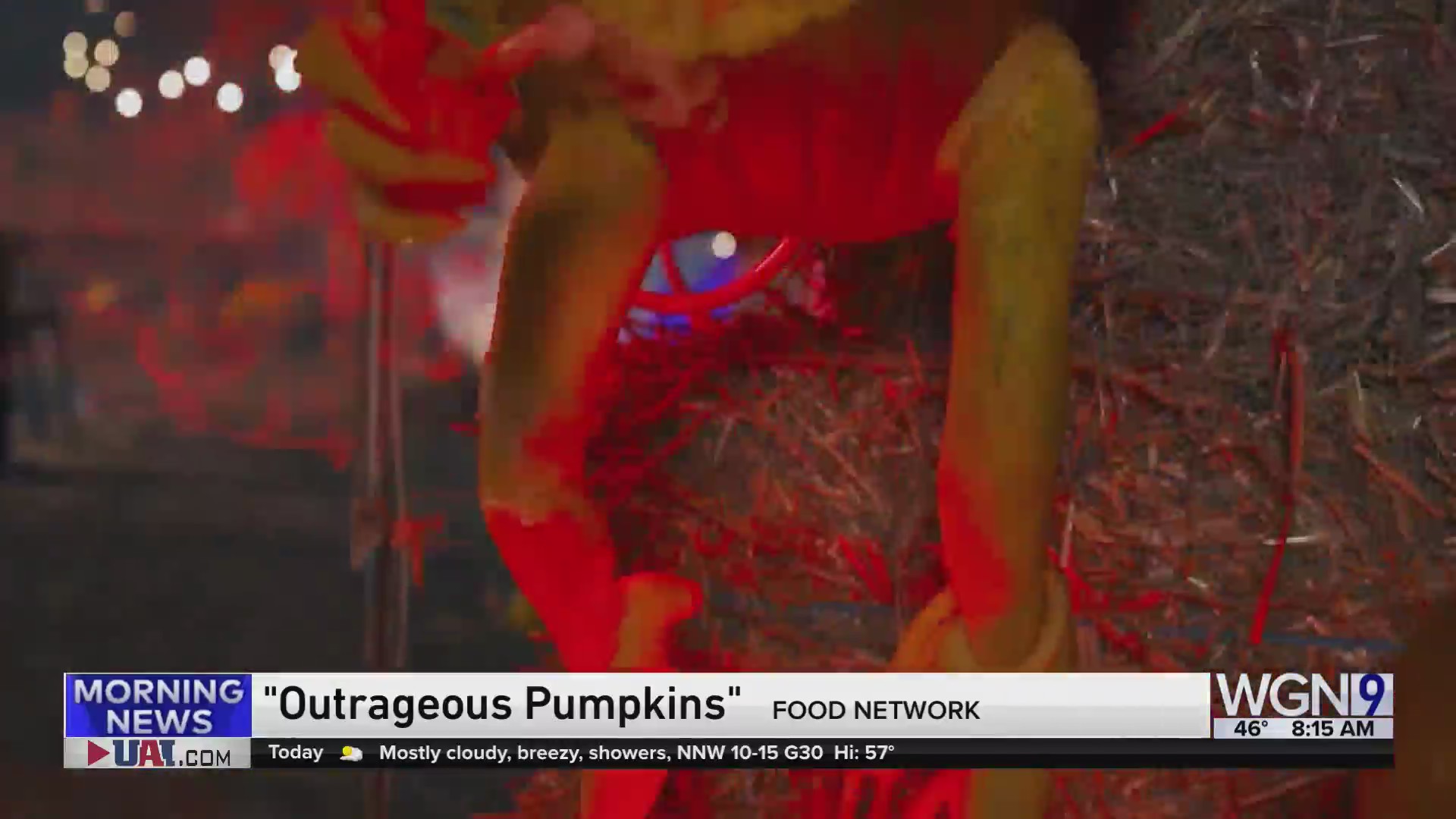 Pumpkin Carving Tips with Contestant on “Outrageous Pumpkins” – WGN-TV