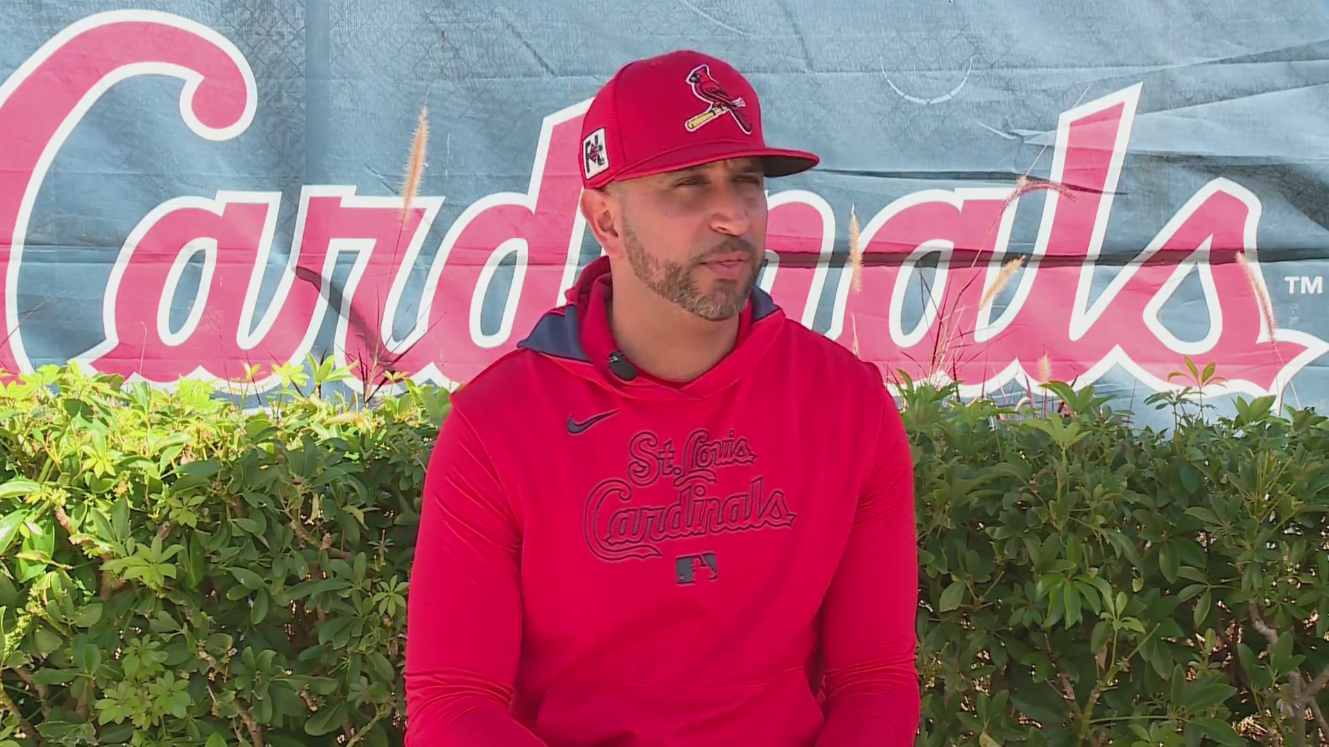 One on One with Cardinals manager Oli Marmol at Spring Training – FOX 2