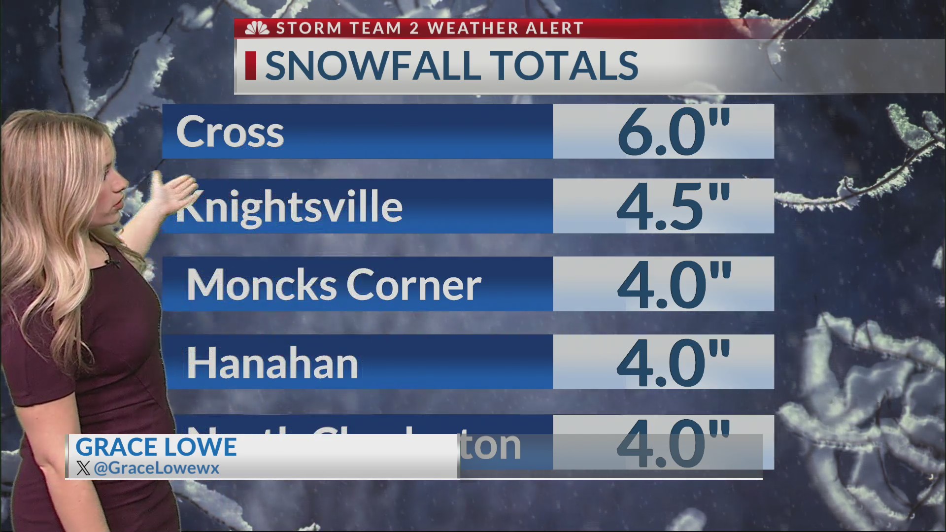 Grace Lowe shows snow totals from Jan winter storm – WCBD News 2