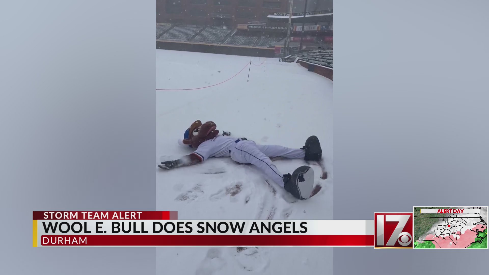 Wool E. Bull does snow angels in Durham – CBS17.com