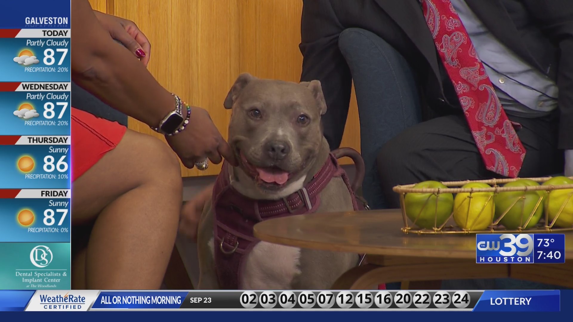 CW39’s new chief meteorologist Jonathan Novack introduces us to his dog ...