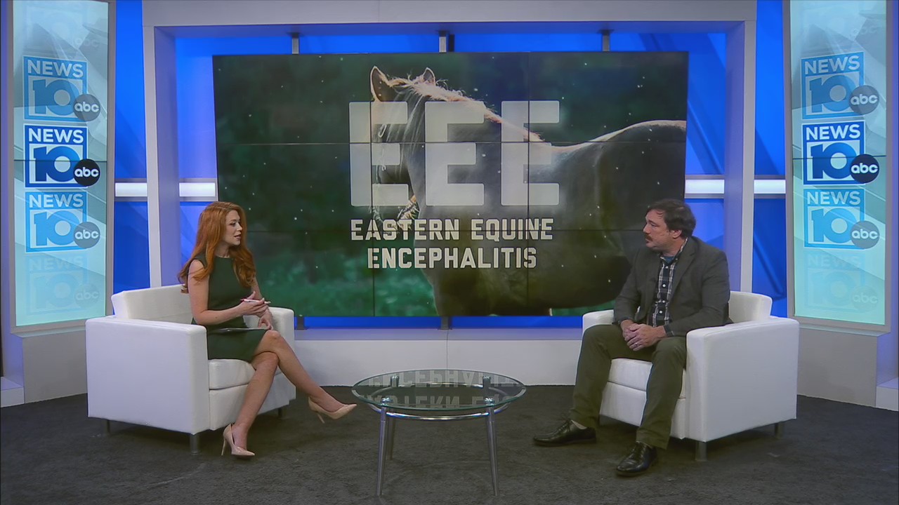 Live at 9: Eastern Equine Encephalitis (EEE) in the Capital Region for ...