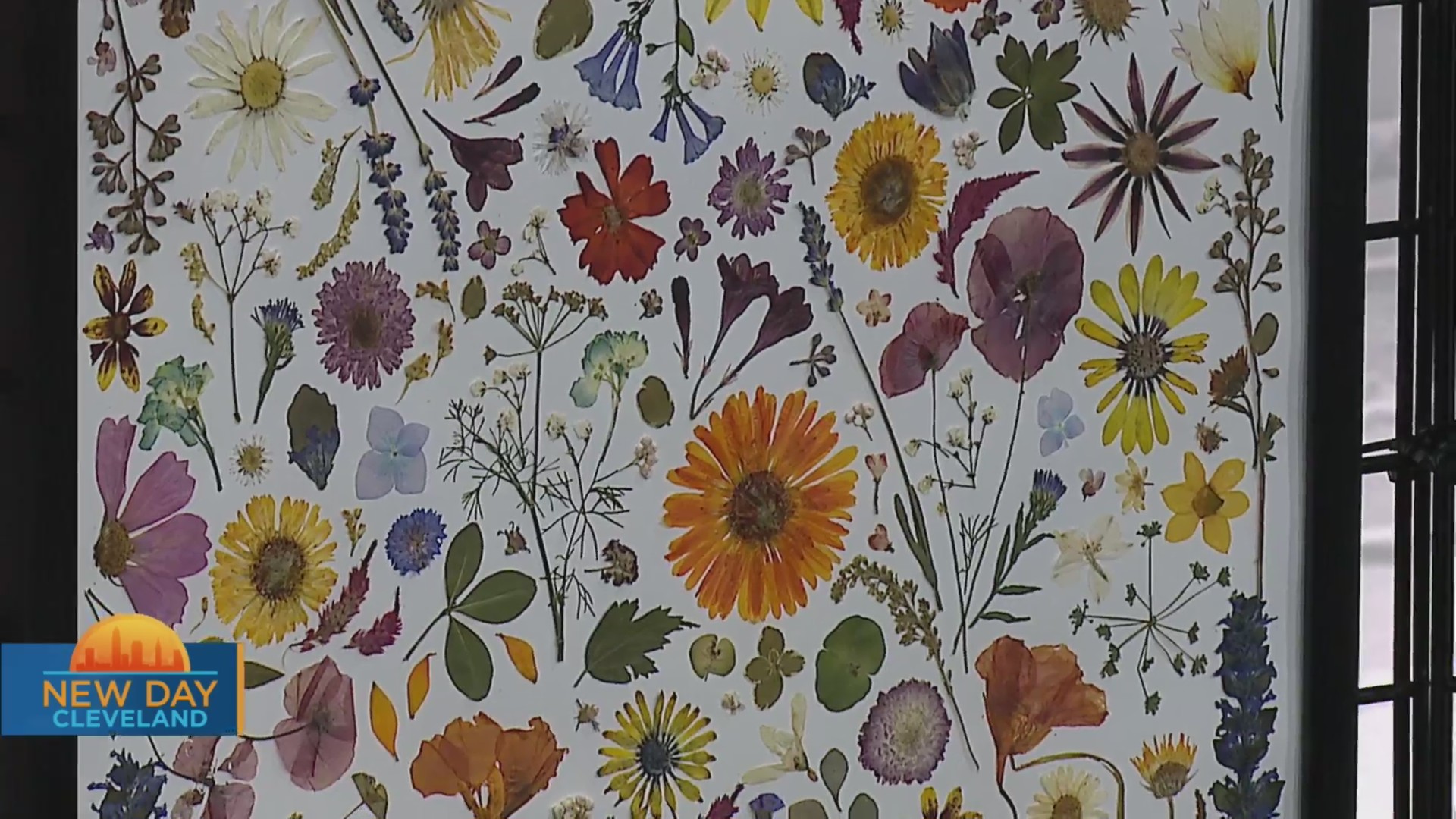 New Day Cleveland: Pressed Flower Artisan – Fox 8 Cleveland WJW