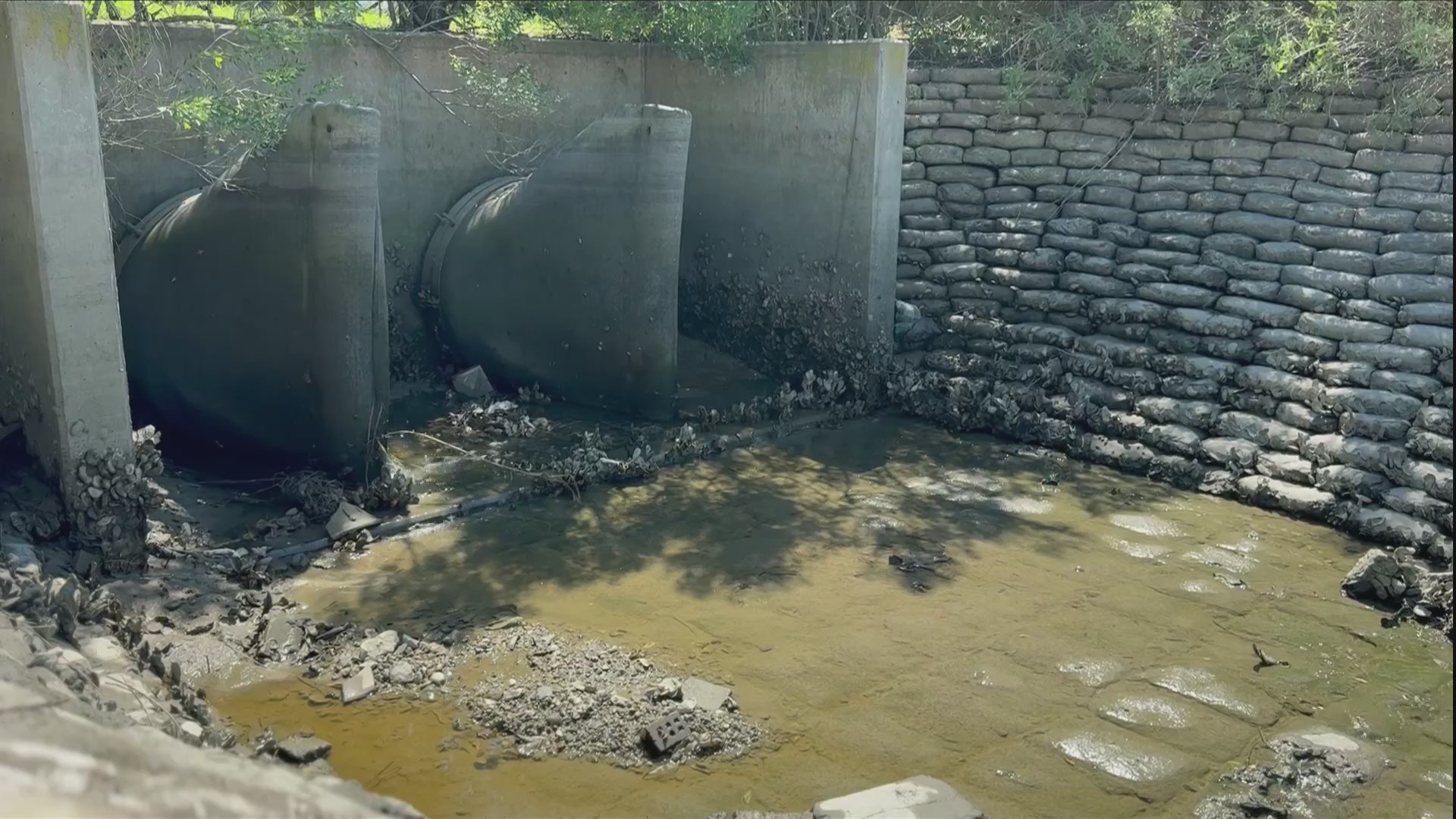 Tybee residents respond to constant sewage, drainage problems – WSAV-TV