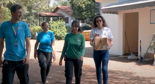 Conservationists Hand-Rear Blue-Eyed Ground Dove Chick in Bid to Save ...