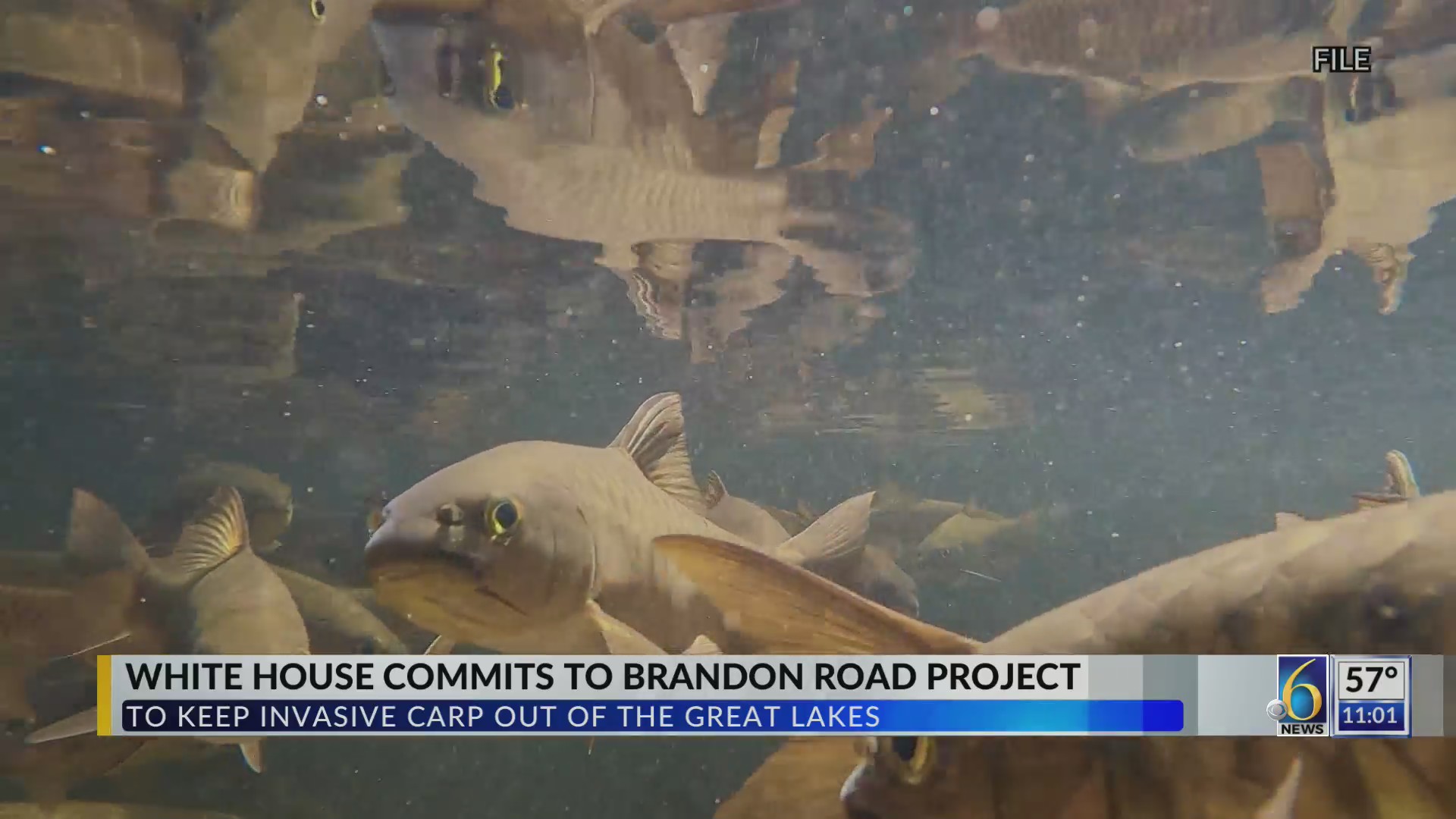 White House commits to Brandon Road project – WLNS 6 News