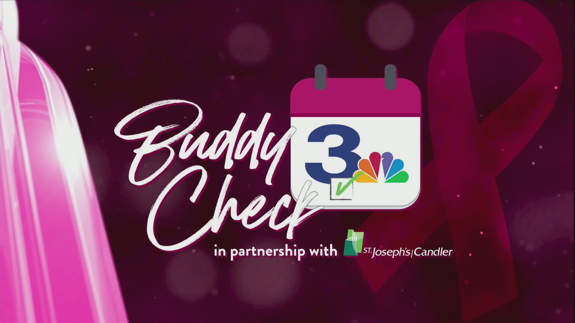 Buddy Check 3 Planning Your Next Mammogram Wsav Tv