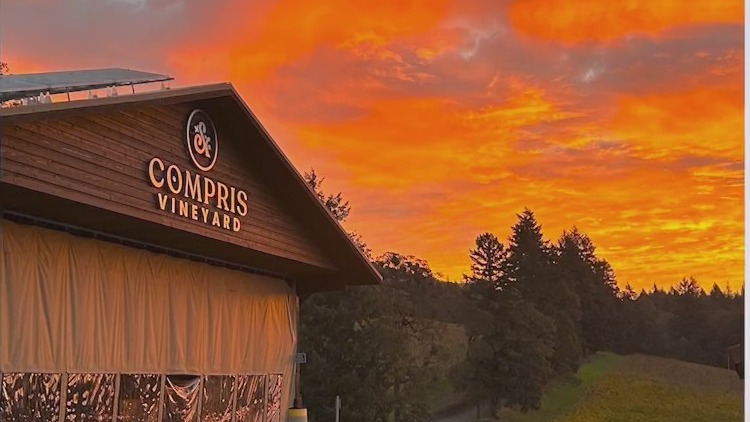 Here’s your sign to celebrate this weekend with wine- at Compris Vineyard – KOIN.com