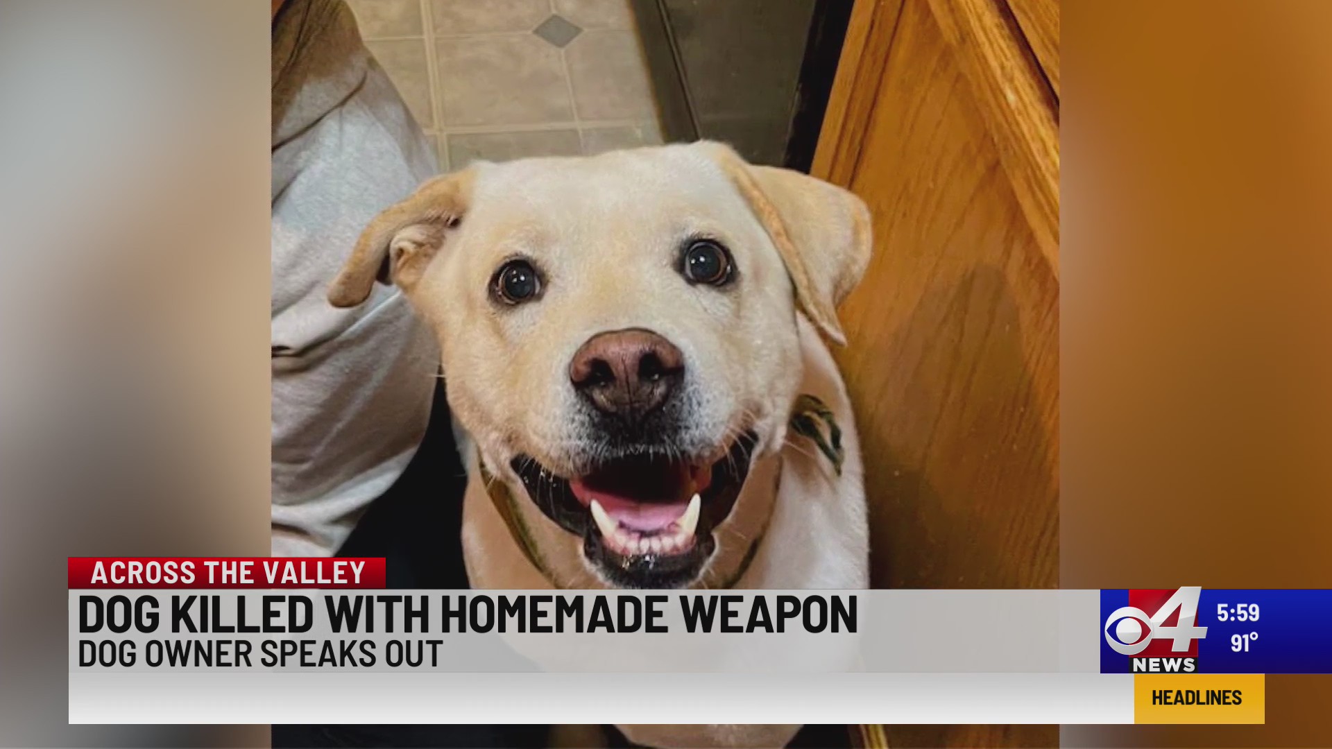Brownsville dog owner describes finding pet killed – FOX 2