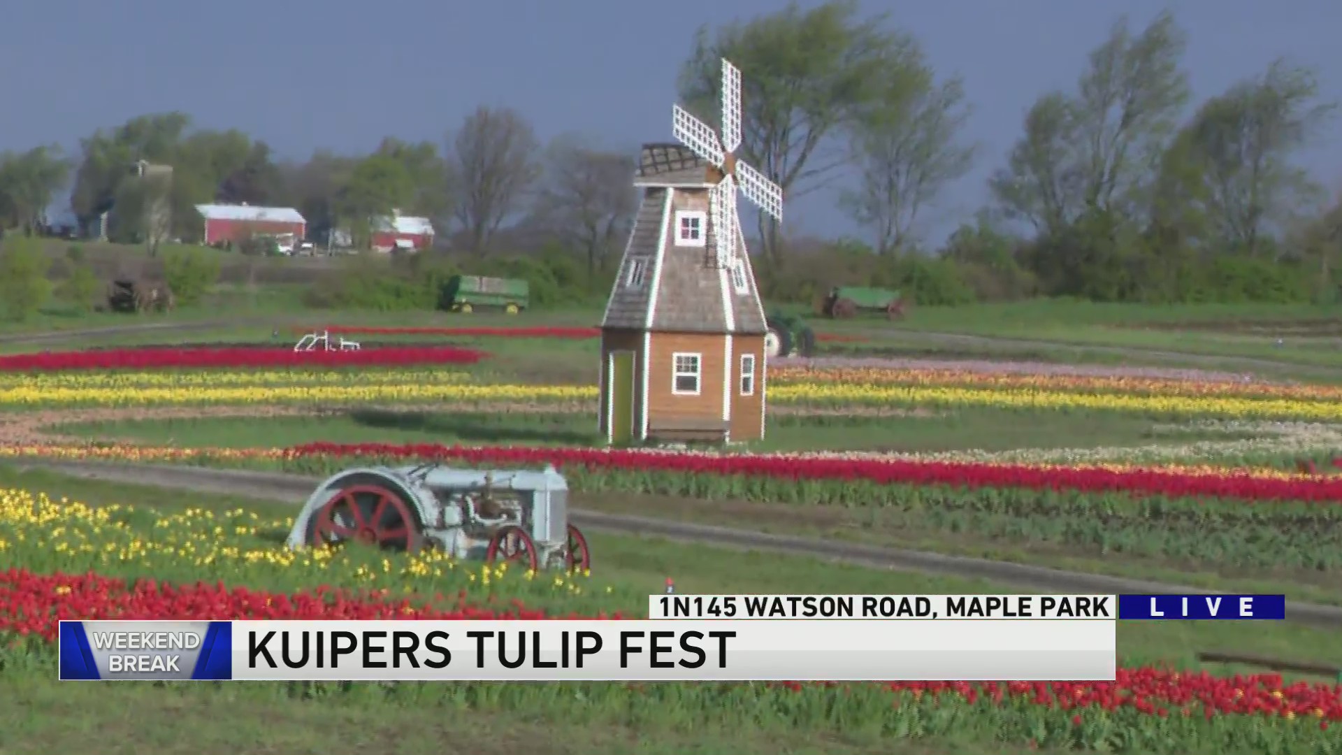 Weekend Break: Kuipers Tulip Fest – WGN-TV