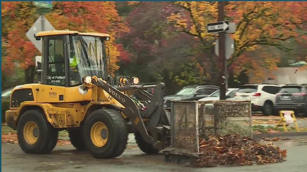 PBOT to begin towing for Leaf Day pickups starting Monday – KOIN.com