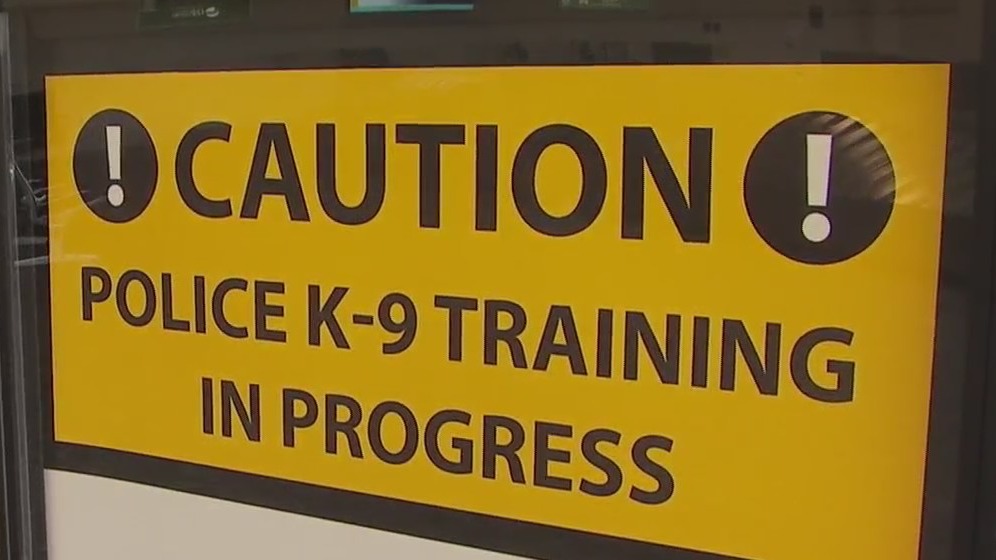 Police K-9 training underway at GSP Airport – WSPA 7NEWS