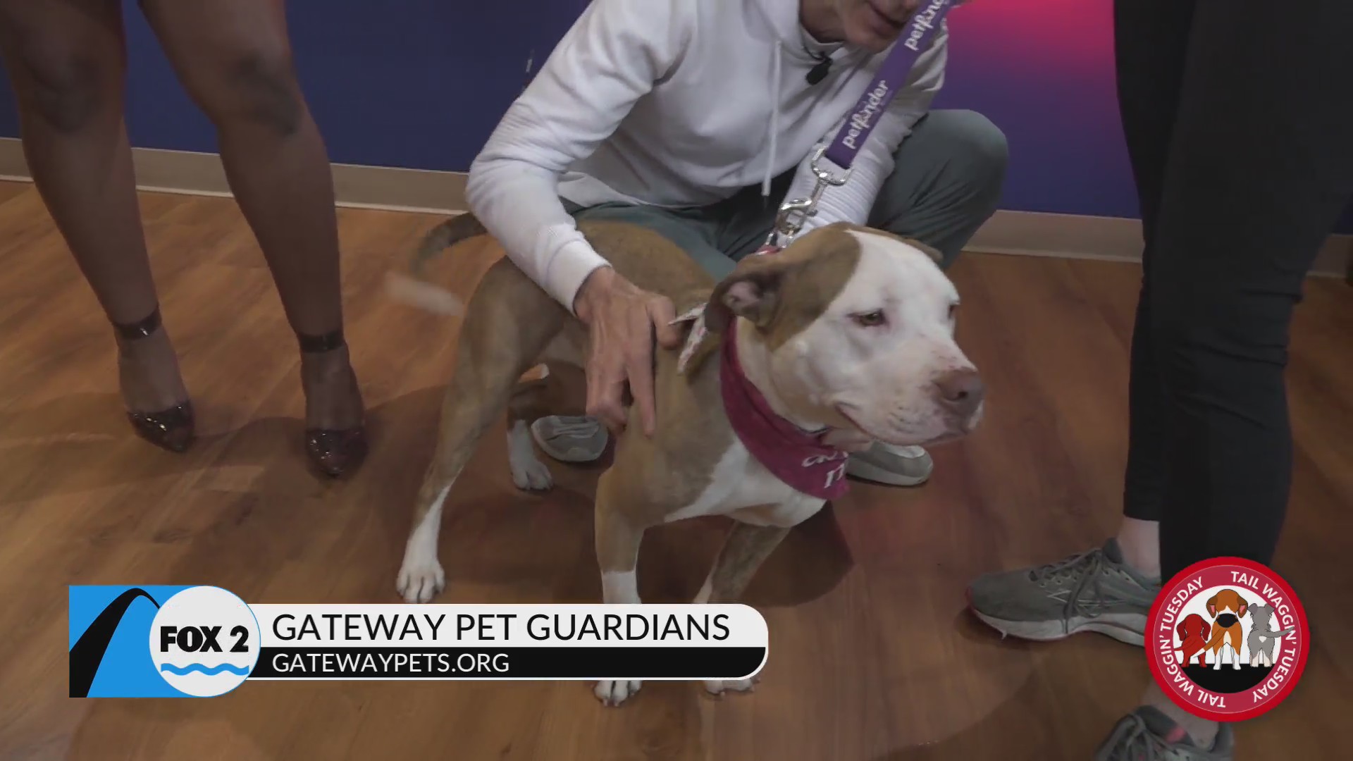 Tail Waggin’ Tuesday: Adopt these two furry friends! – FOX 2