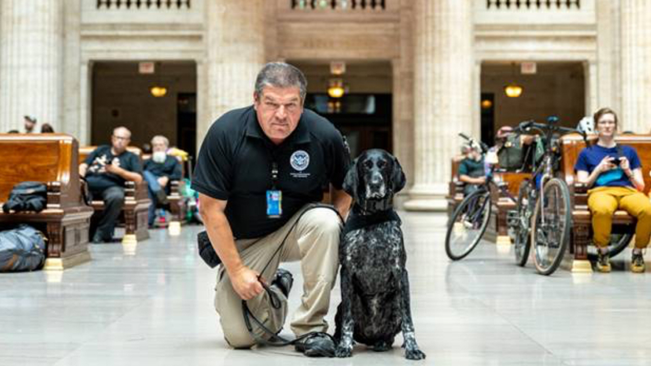TSA to celebrate retiring O’Hare bomb-sniffing K9 — WGN Midday News ...