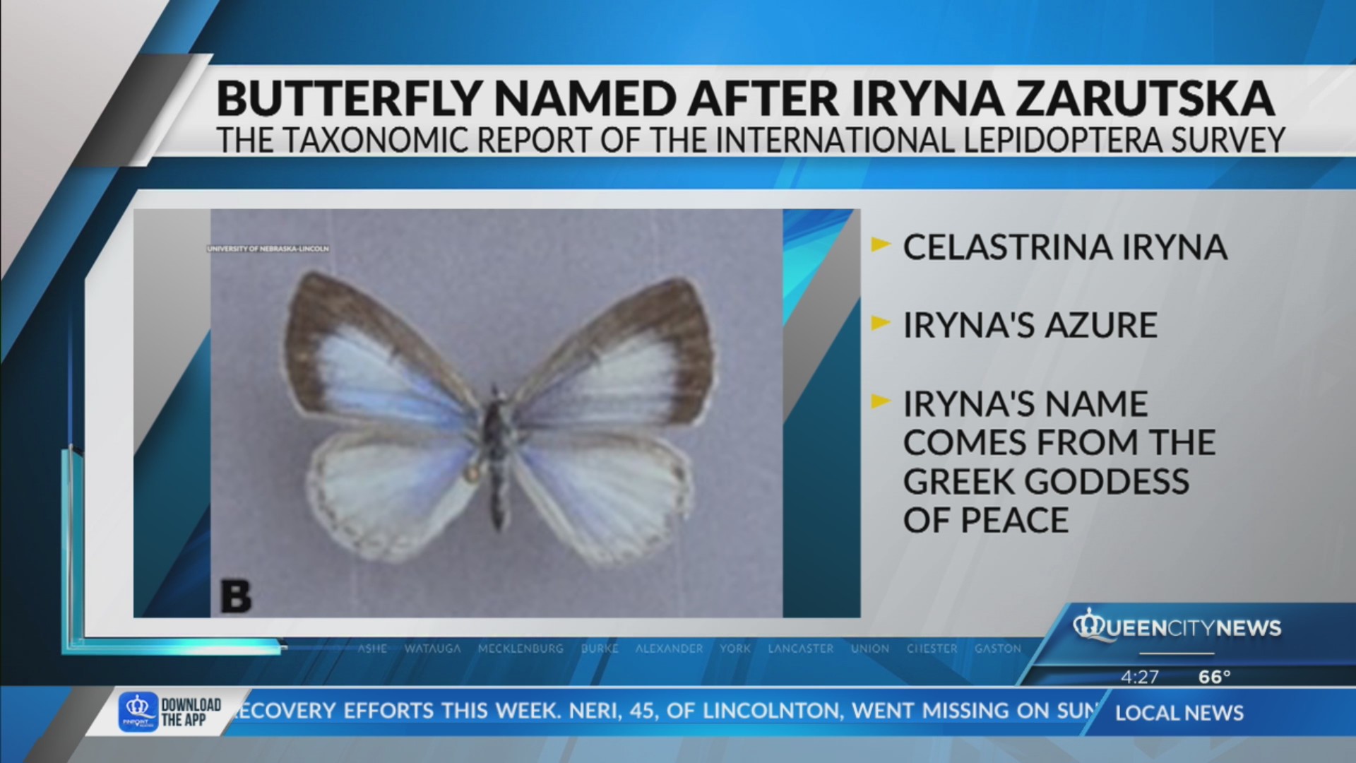 Butterfly species named after Iryna Zarutska – KWKT – FOX 44