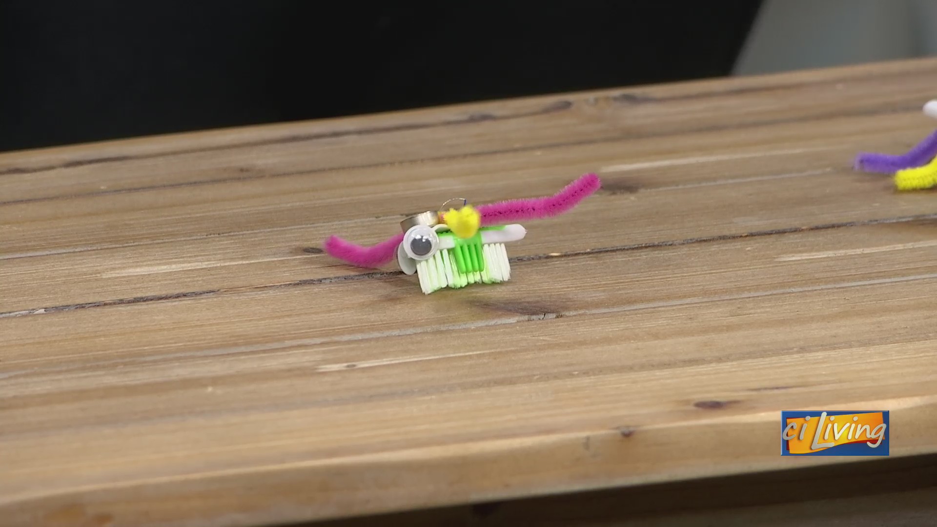 Learn How to Make Bristlebots – WCIA.com