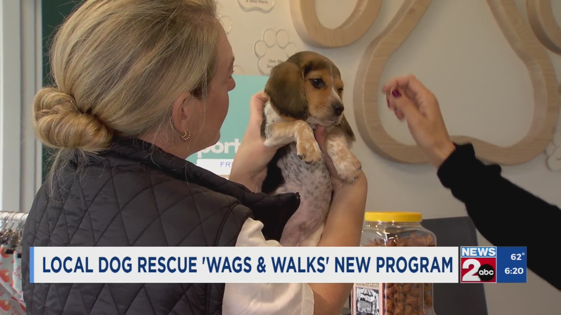 New program at Wags & Walks – WKRN News 2