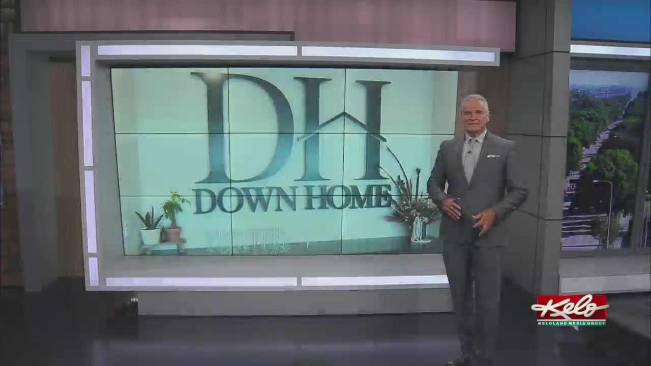 Down Home celebrities celebrate their new store with grand opening ...