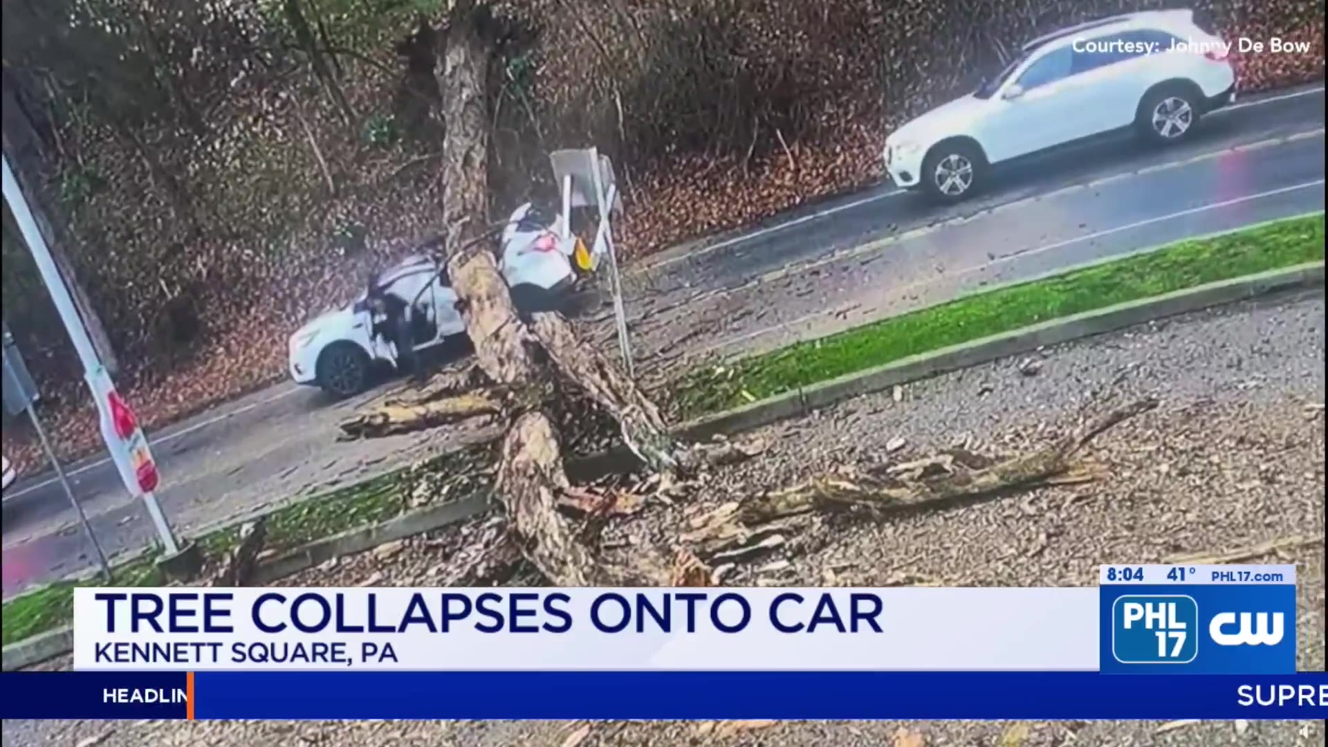 Shocking video shows tree smashing car in Kennett Square – PHL17.com