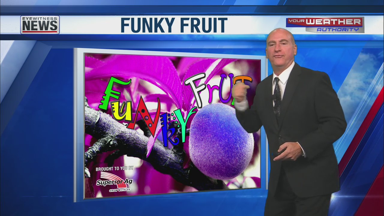 #1 FuNkY FrUiT for 2024 The Grinch Pepper – Eyewitness News (WEHT/WTVW)