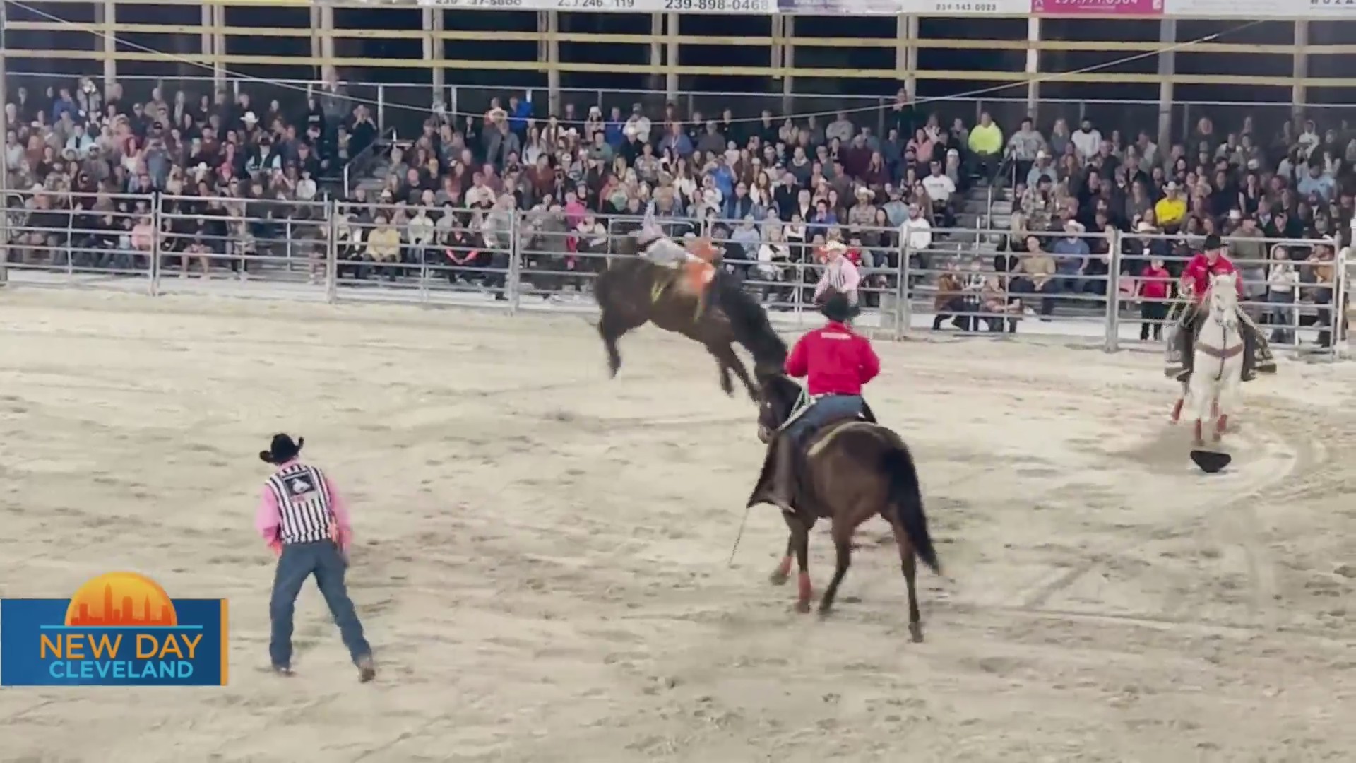 New Day Cleveland- Silver Creek Rodeo Company – Fox 8 Cleveland WJW