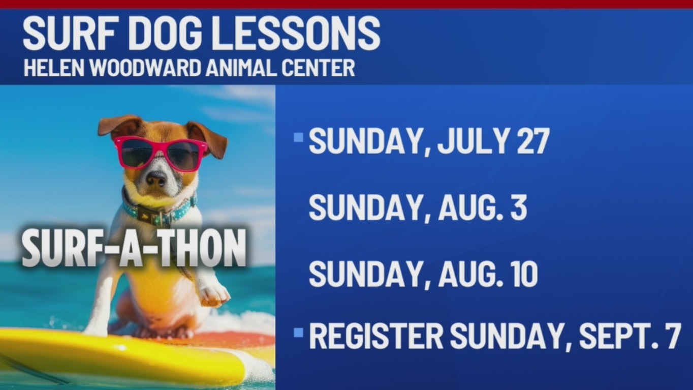 The Helen Woodward Animal Center is offering surfing lessons for dogs ...